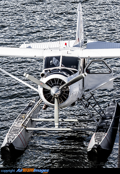 de Havilland Canada Beaver - AirTeamImages.com